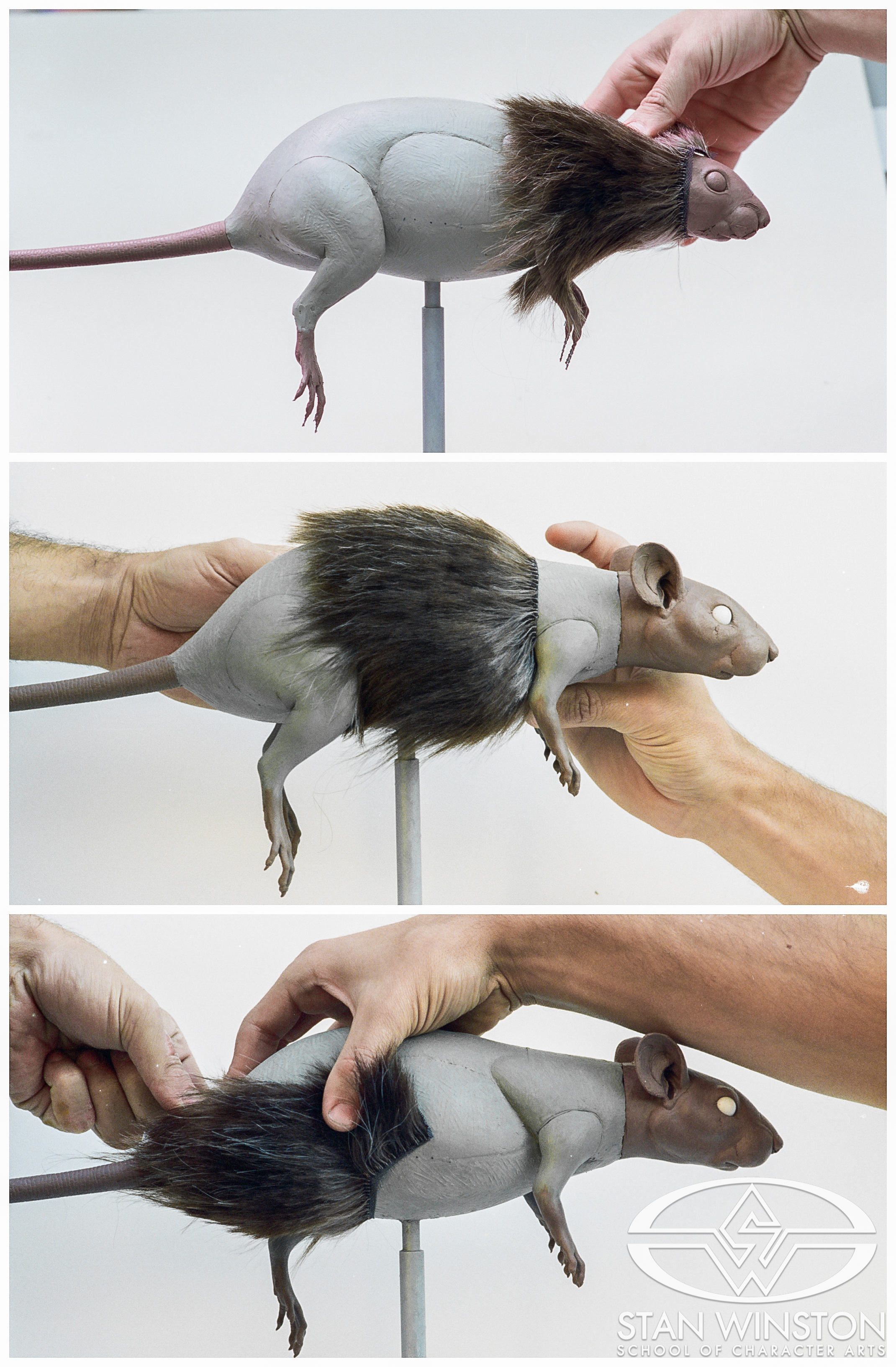Catzilla vs. The Mouse: Behind the Scenes of Creating the Animatronic ...