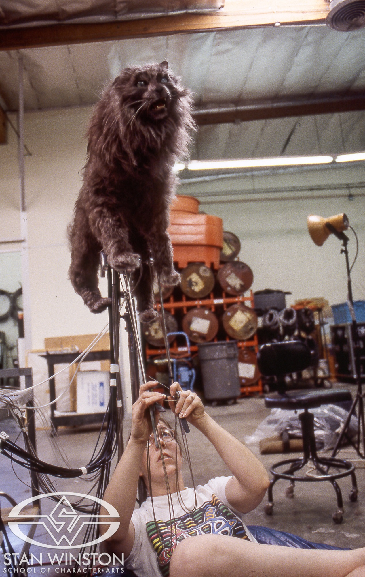 Catzilla vs. The Mouse: Behind the Scenes of Creating the Animatronic ...