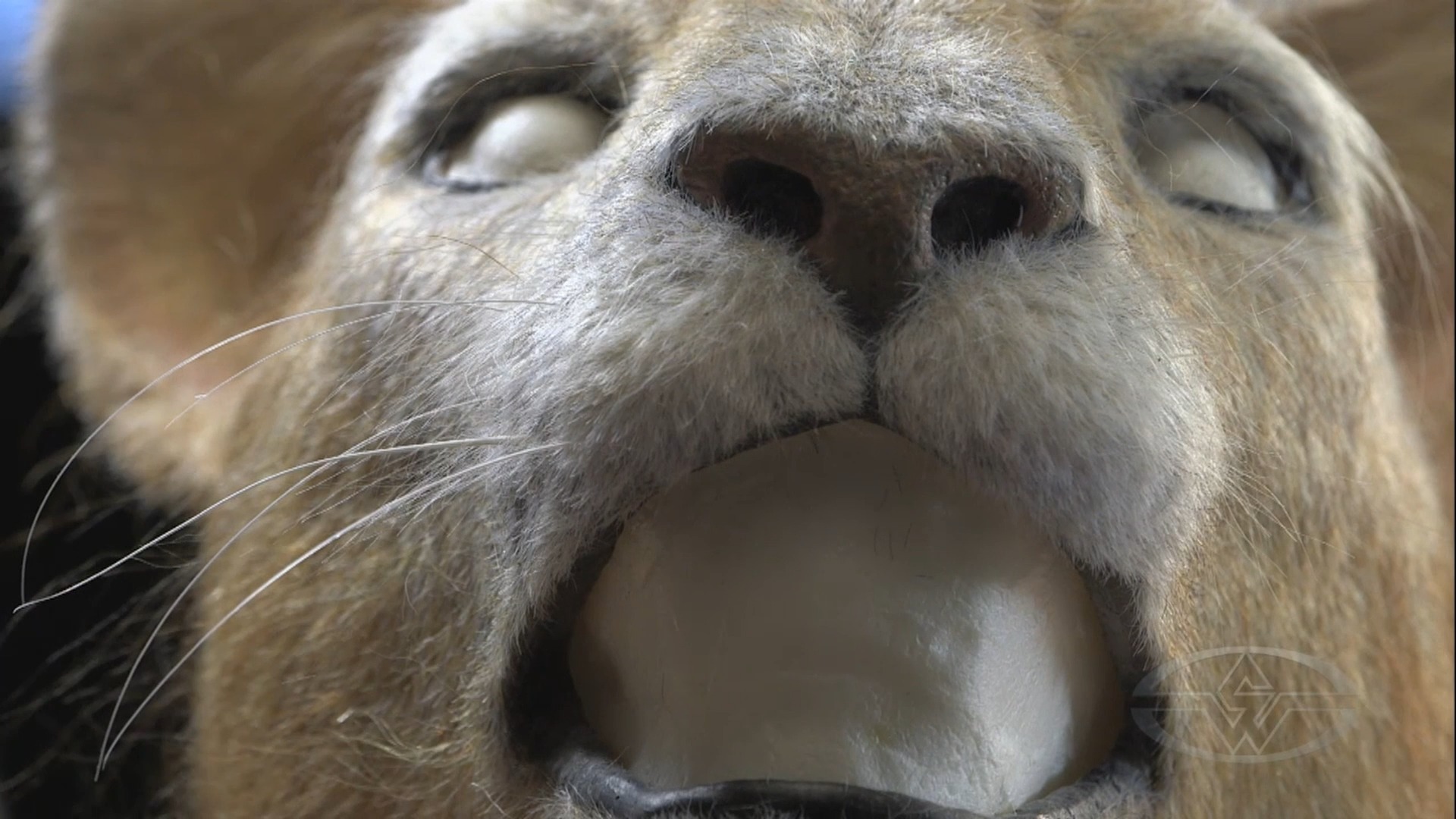 How to Make Whiskers for Animatronic Animals | Stan Winston School of ...