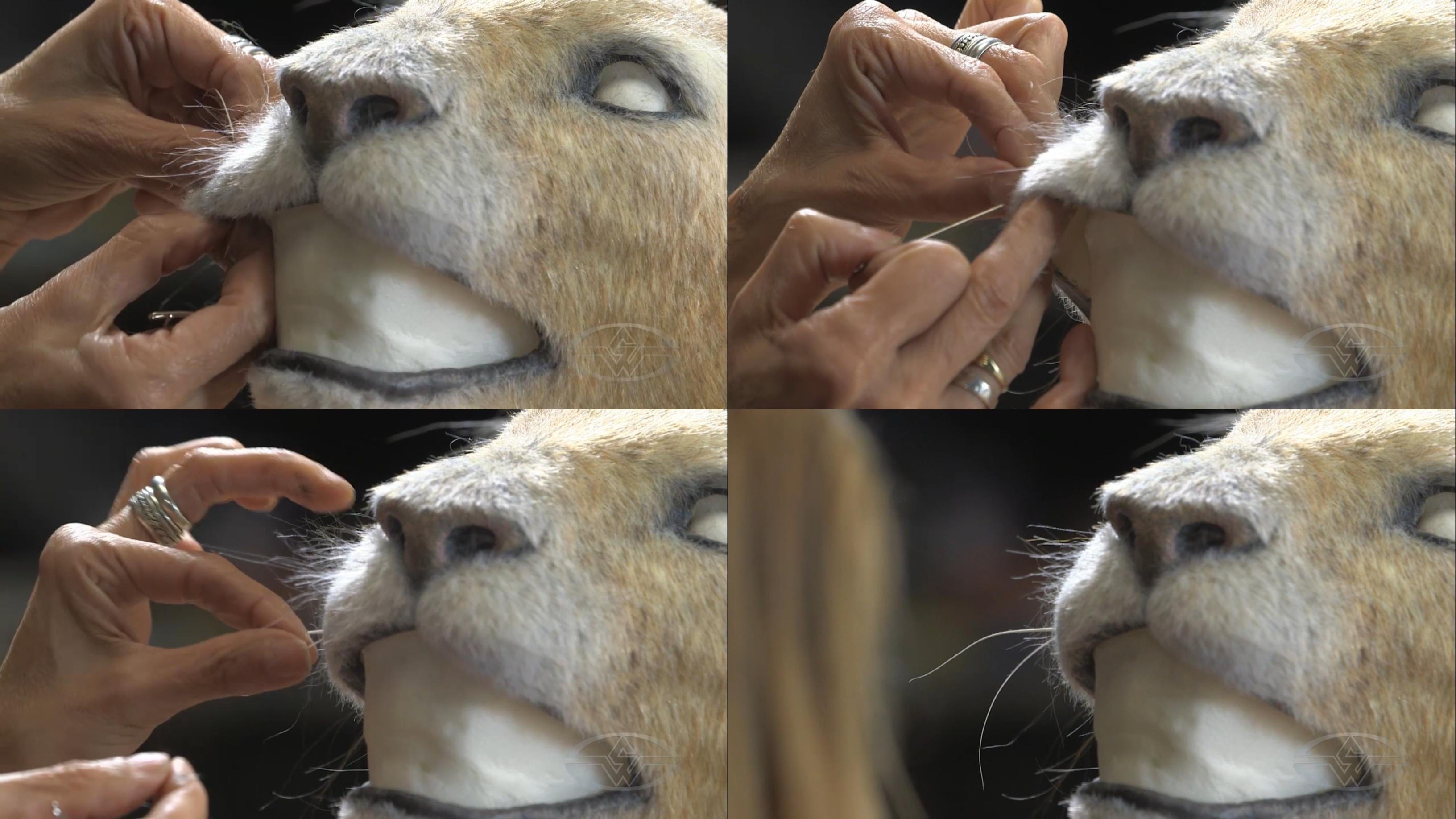 How to Make Whiskers for Animatronic Animals | Stan Winston School of ...