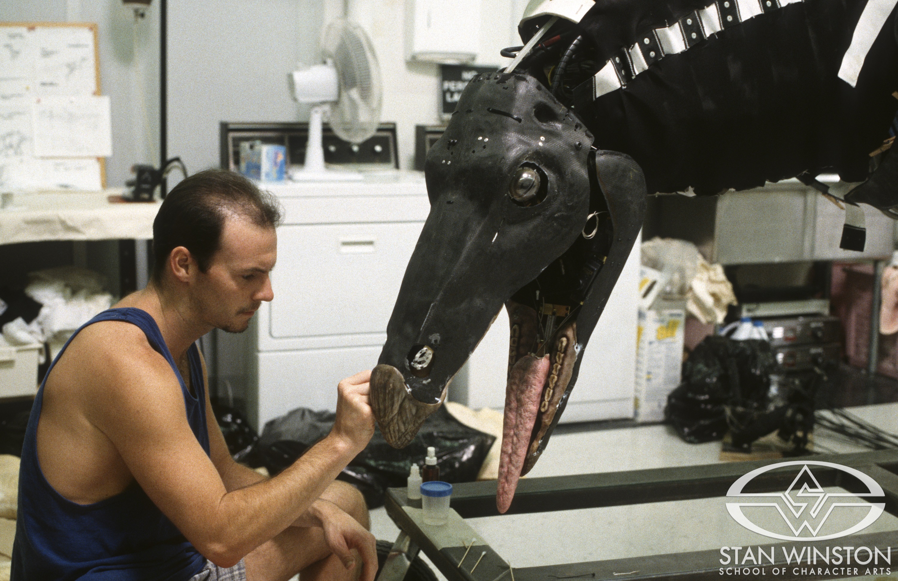 The Adult and Baby Stegosaurus of The Lost World: Jurassic Park (1997 ...