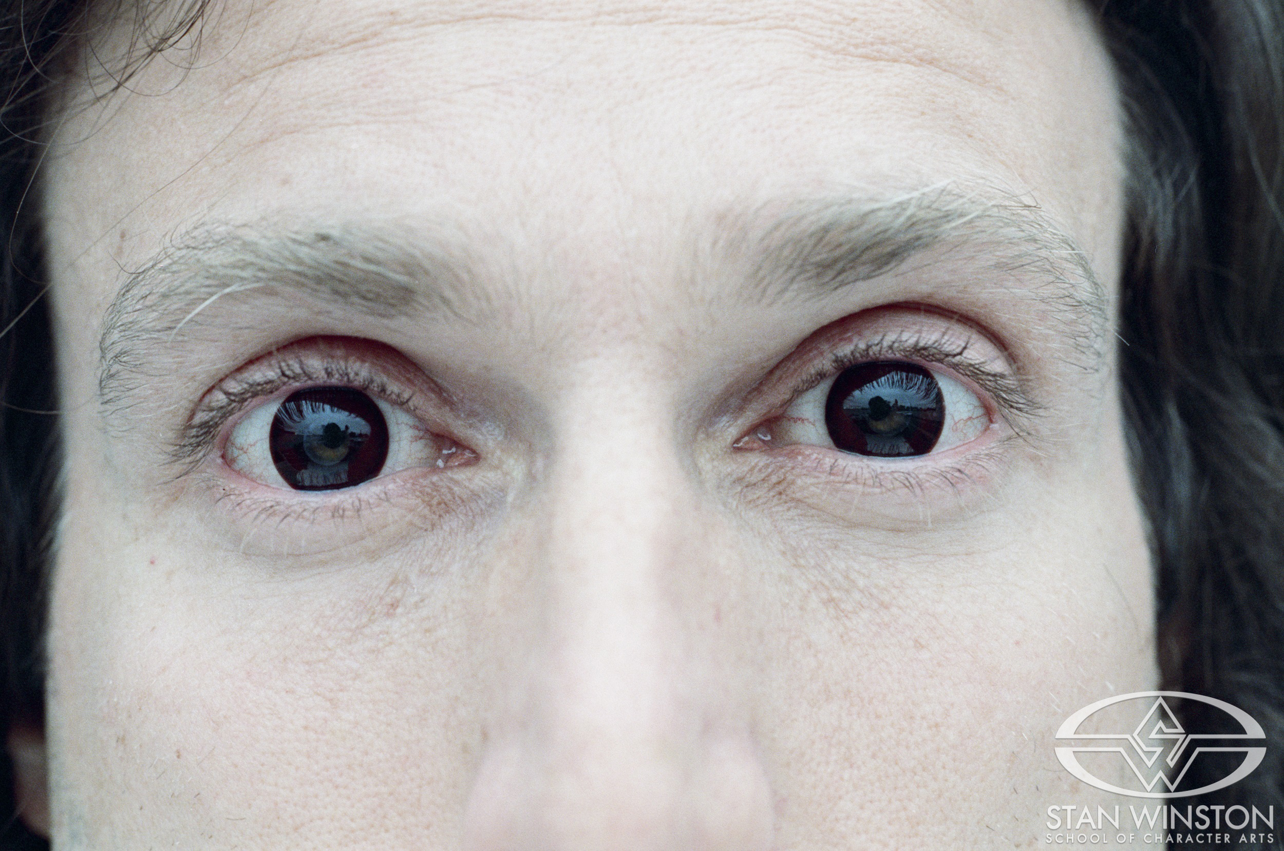 Making Vampires for Interview with the Vampire (1994) | Stan Winston ...