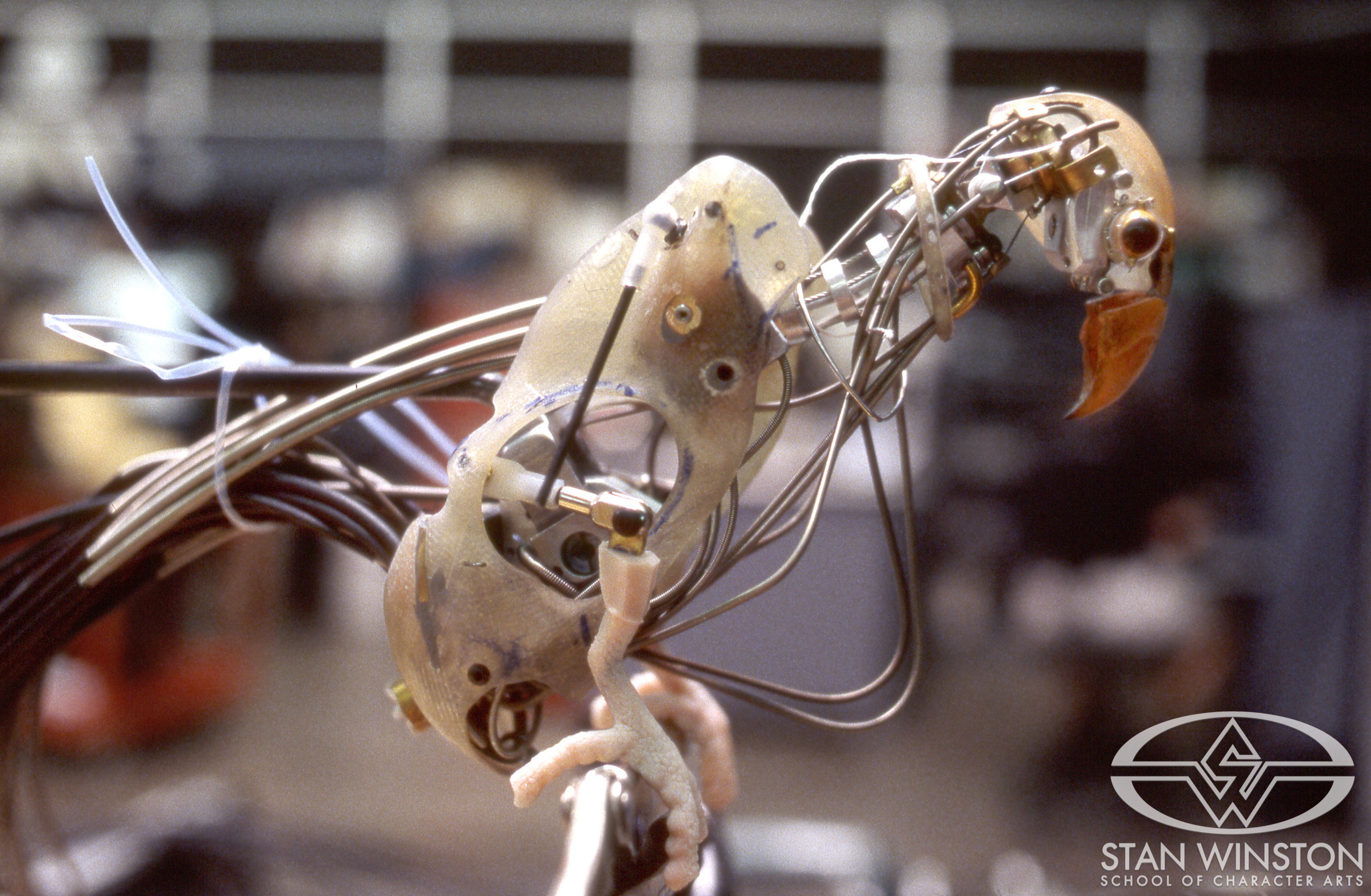Creating an Animatronic Parrot for John Roberts’ Paulie (1998) | Stan ...