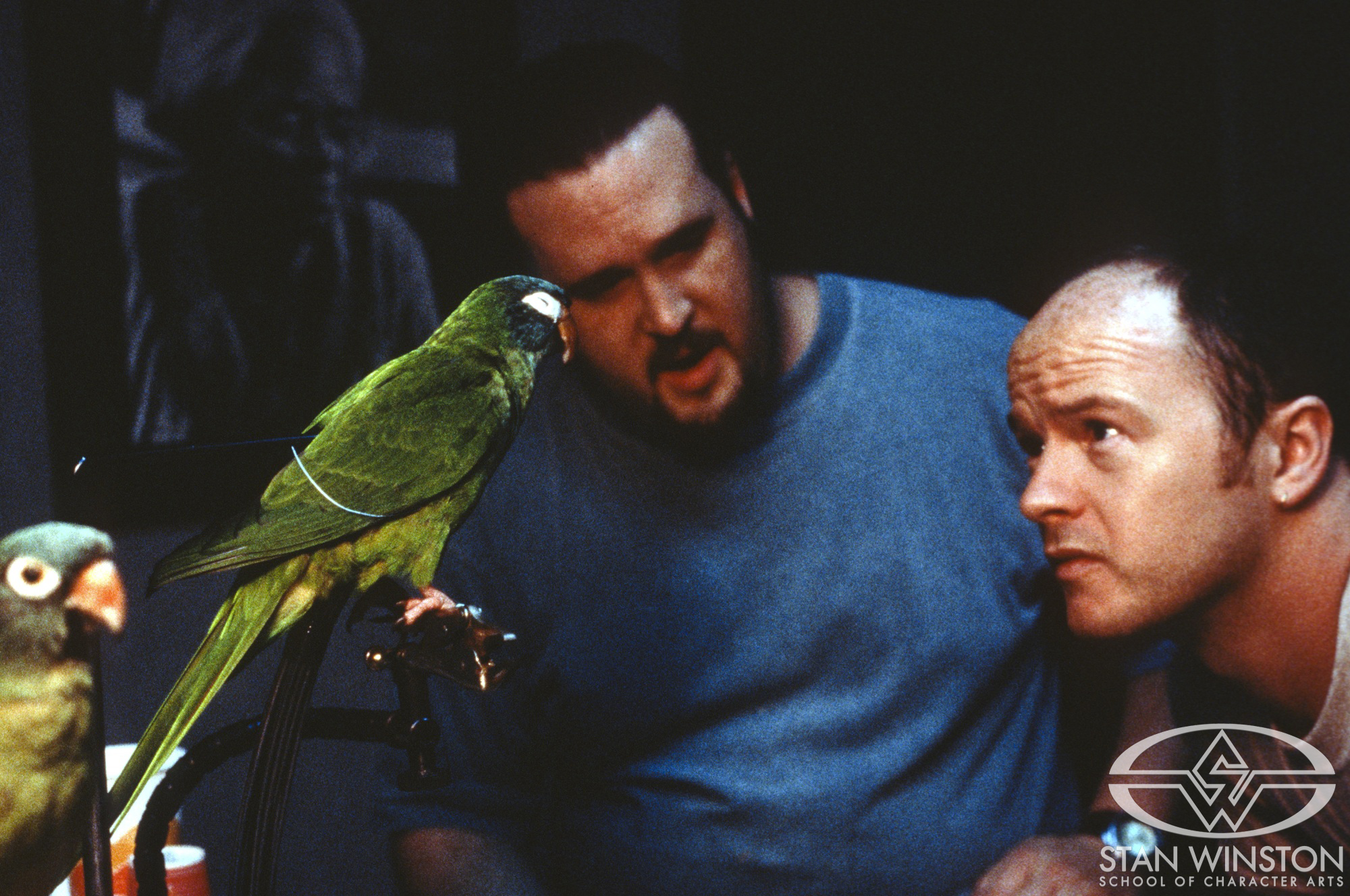 Creating an Animatronic Parrot for John Roberts’ Paulie (1998) | Stan ...